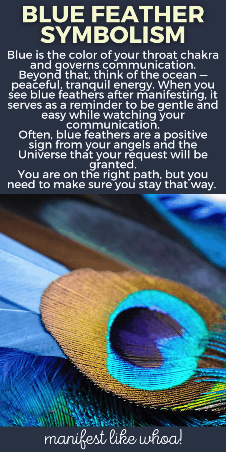 11 Magical Feather Color Meanings For Manifestation – Manifest Like Whoa!