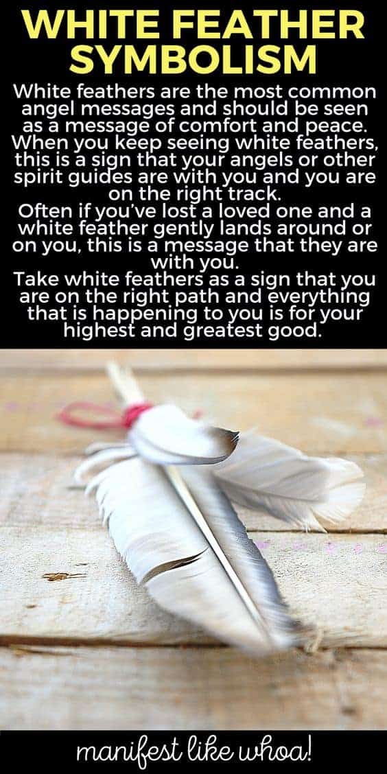 11 Magical Feather Color Meanings For Manifestation – Manifest Like Whoa!